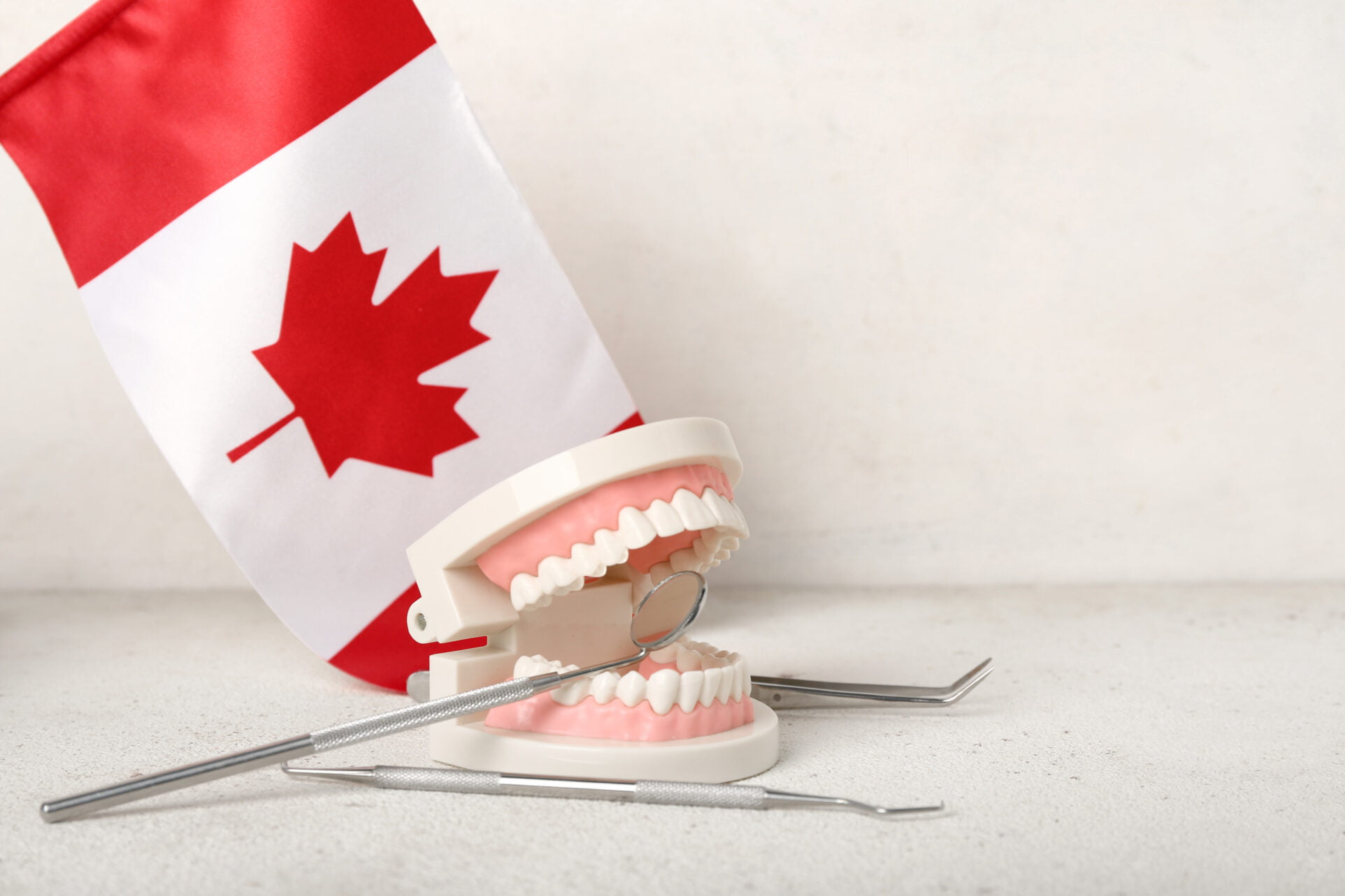 Canadian Dental Care Plan: What You Need to Know